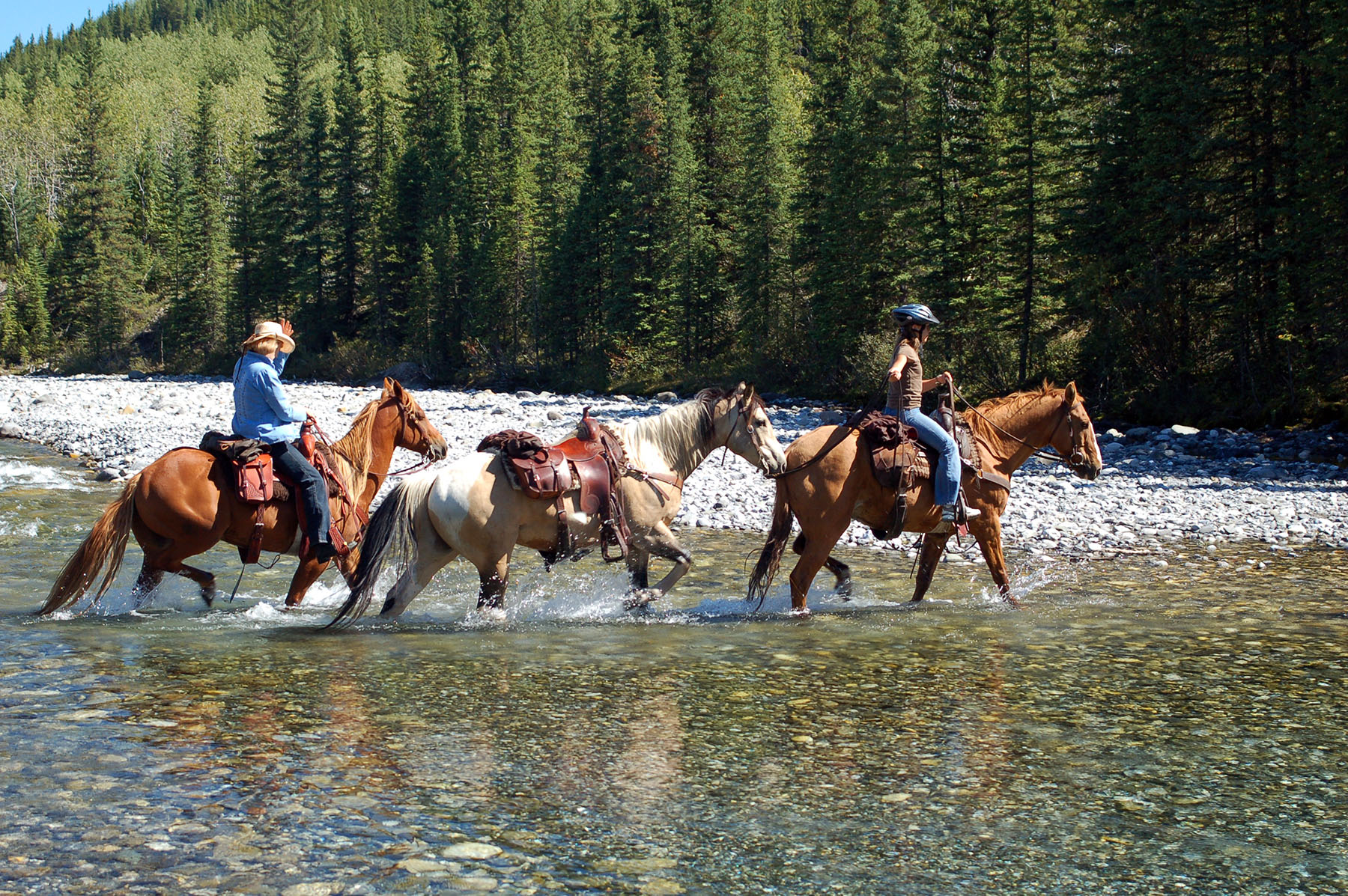 Best Crested Butte Horseback Riding