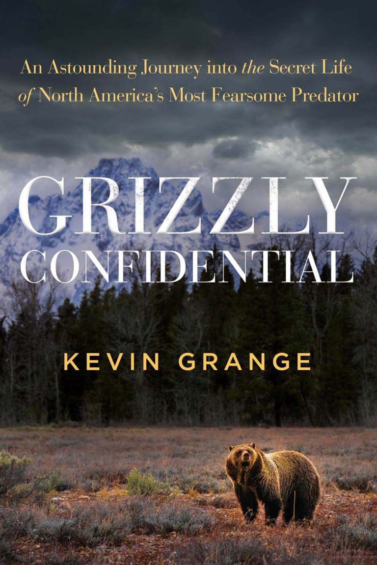 Grizzly Confidential: An Astounding Journey into the Secret Life of ...